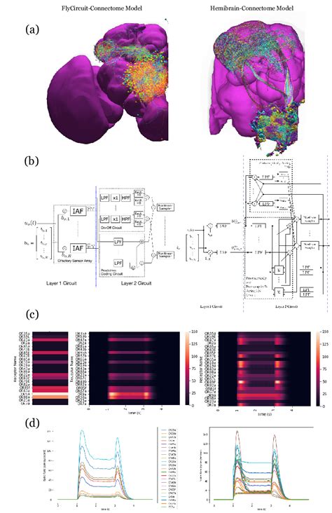 Analysis Evaluation And Comparison Between Models Of The Antenna And