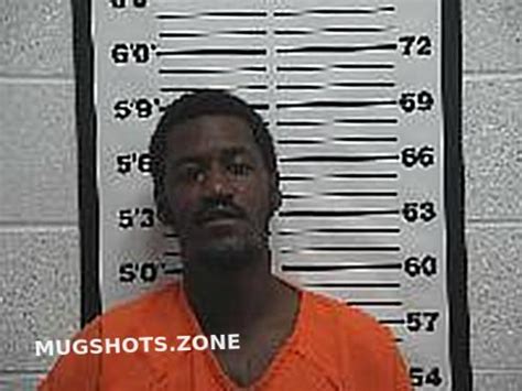 BAILEY DAVID STANLEY 08 24 2024 Belmont County Mugshots Zone