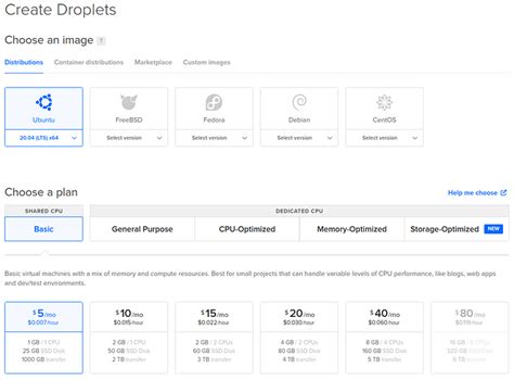 how to use a digital ocean vps and caddy as a reverse proxy for a self