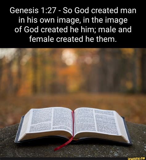 Genesis So God Created Man In His Own Image In The Image Of God