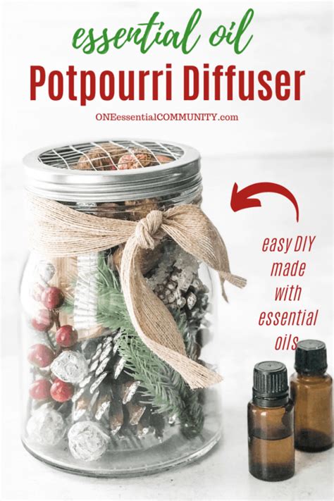 Christmas Potpourri Diffuser One Essential Community