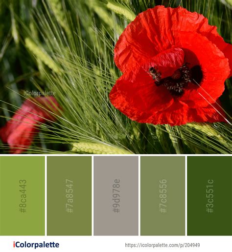 Color Palette Ideas From 3434 Grass Images Icolorpalette Color