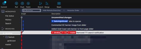 Sourcetree Graph Does Not Show Branches
