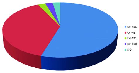 Identification Of Ev Serotypes Based On Sequence Analysis In India