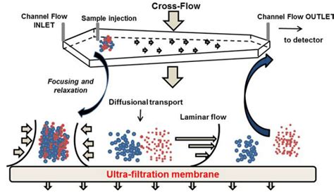 Fig SI 1 Schematic Representation Of The Separation Mechanism Using Download Scientific