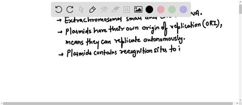 Solved Text An Engineered Plasmid Vector Often Contains The Following