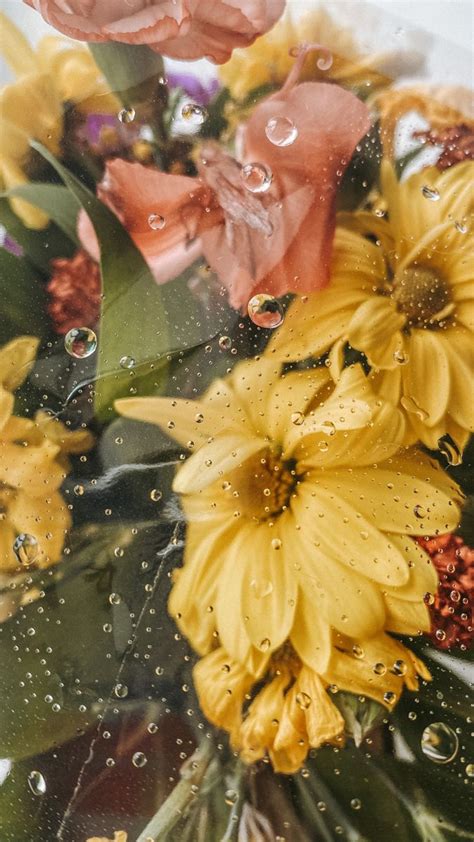 7 Flower Wallpapers Ideas In 2025 Flower Wallpaper Pretty Wallpapers