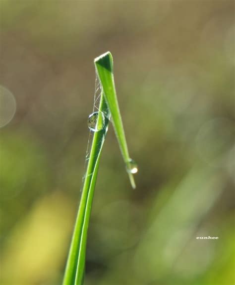 정신건강론 전반적 발달장애자폐증 네이버 블로그
