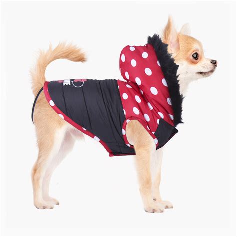 Oblečky Pro Psy Minnie Mouse Tipy Na Originální Dárky Pro Domácí