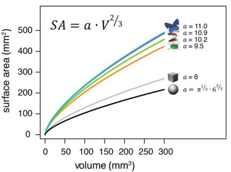 [solved] 32 Calculating Diffusion Rates Key Idea The Surface Area To Course Hero