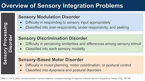 Introduction To Sensory Processing And Sensory Modulation Pdf