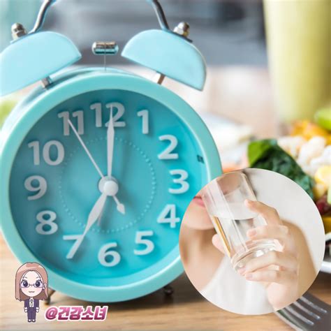 24시간 간헐적 단식 효과 다이어트 물 방법 네이버 블로그