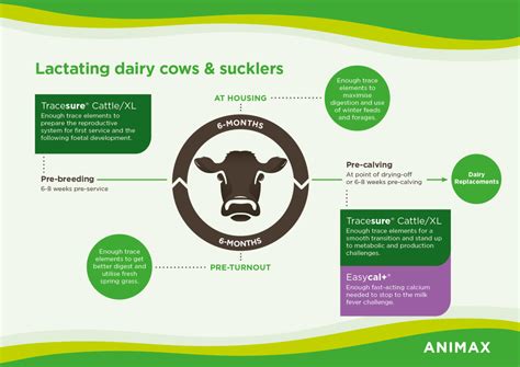 Tracesure Cattle Bolus Animax