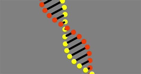 Animation Of Dna Rotating Over Grey Back Stock Video Pond