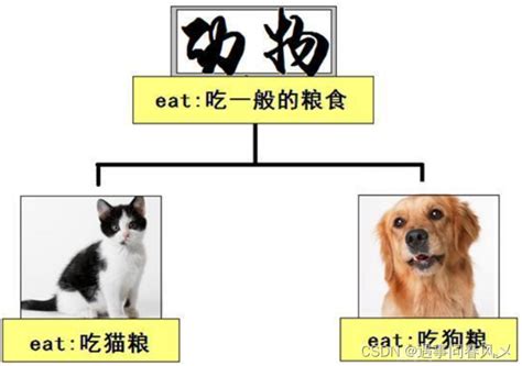 【javase】 面向对象程序三大特征之多态java中多态必须是父子关系吗 Csdn博客