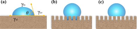 Schematic Illustration Of Typical Wetting Behaviors Of A Droplet On A
