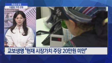 금융속으로 교보생명·어피니티 풋옵션 분쟁지배구조에 미칠 영향은