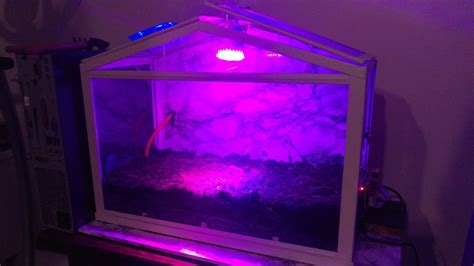 Iot Farm Timelapse Cayenne Arduinoraspberry 9 Steps With Pictures