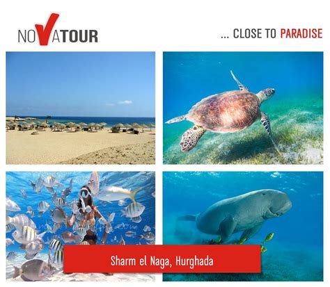 Novatour Tour Operator Հանգստանալով Հուրգադայում` անպայման այցելեք Շարմ էլ Նագա Շարմ էլ