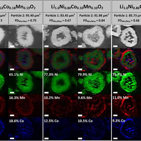 Six Particles Were Sampled From The Differential Absorption Tomography Download Scientific