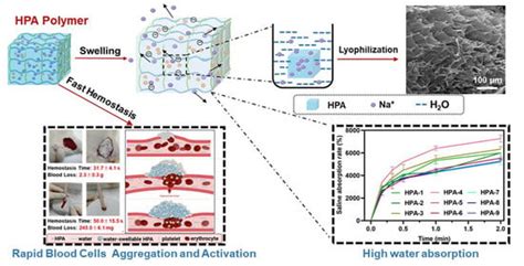 Highly Efficient Hemostatic Cross Linked Polyacrylate Polymer Dressings For Immediate Hemostasis