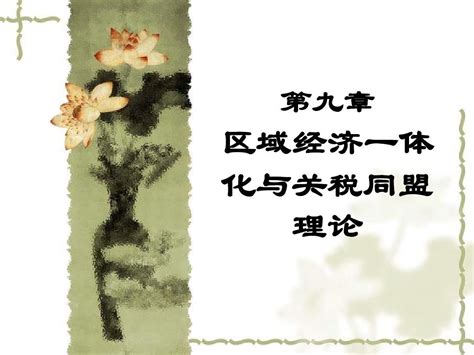 第9章 区域经济一体化与关税同盟理论word文档在线阅读与下载无忧文档
