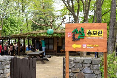 양평 용문산 산나물축제 경기도 양평군 가볼만한곳