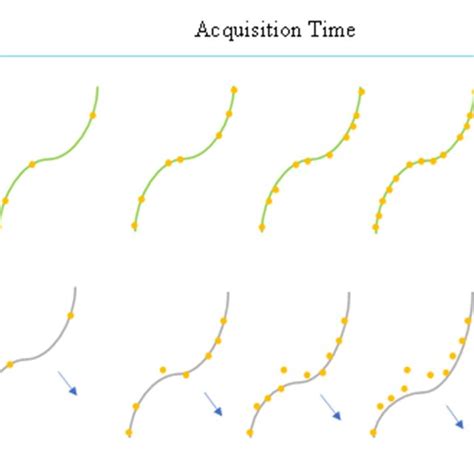 A Cartoon Illustration Of Single Molecule Localization On A Curvilinear Download Scientific