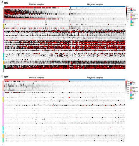 Protein Array Analysis Service Mtoz Biolabs