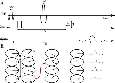 Figure 1 From Multimodal Integration Of Functional And Structural Brain