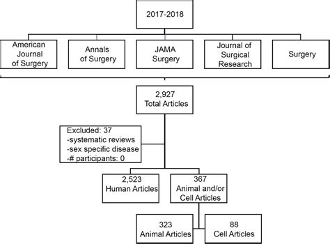 Sex Bias Persists In Surgical Research A Five Year Follow Up Study PMC