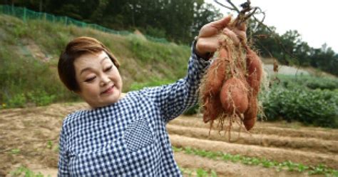요리연구가 이혜정 아버지 이종대는 누구유한킴벌리 초대 회장