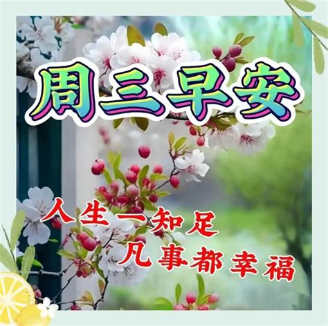 今日最新版周三早上好表情包平安顺心健康美好