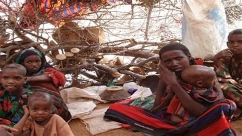 هيئة الإيجاد تدين بشدة الاستهداف المتعمد للمدنيين فى جنوب السودان