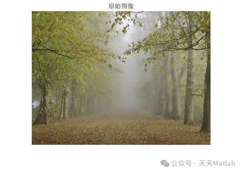 【图像去雾】基于暗通道单个图像雾化去除附matlab代码 Csdn博客