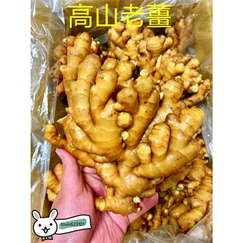 🌈嚴選🌈高檔小薑台灣高山老薑 薑母糖 老薑茶 薑母鴨 南投小薑 大薑 台東薑 高海拔 蔬菜 爆香 姜 食品 蝦皮購物