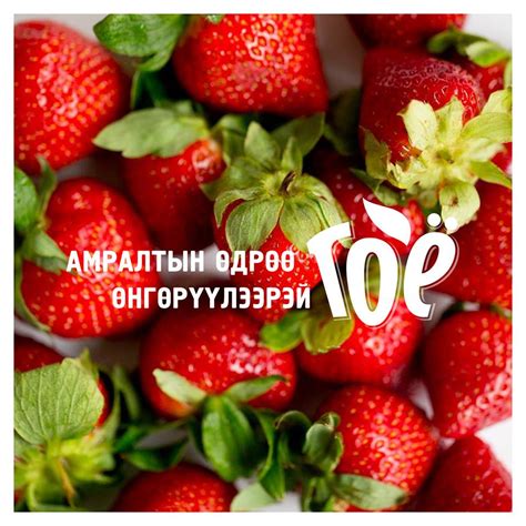 Гоё тараг I Goy Tarag Home Facebook