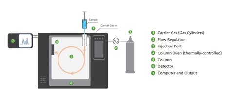 Basic Instrumentation Of Gcms Shimadzu Europe
