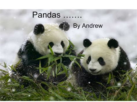 Andrew Pandas Ppt Zoos And Aquariums Attractions