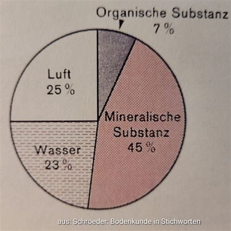 Ett Wissen Baumstandort Karteikarten Quizlet