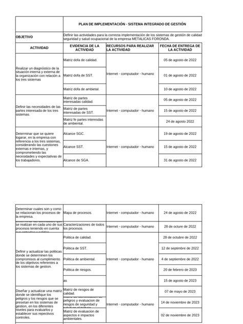 Plan De Implementacion Pdf