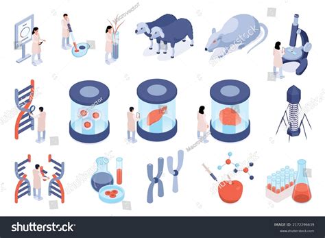 Isometric Genetic Engineering Set Scientific Lab Stock Vector Royalty