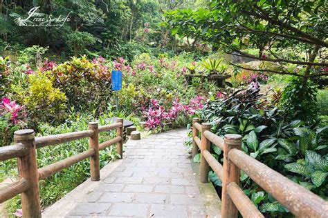 近大湖公園的台北親子步道，可玩水、輕鬆好走、沿途綠蔭遮蔽，還有季節限定的花海 Irenes 食旅．時旅