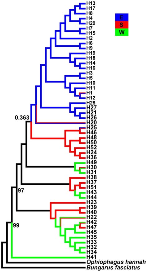 Values On The Right Side Of The Nodes Indicate Support For Each Node Download Scientific