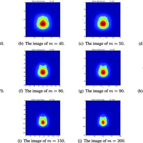 Visualization Of The Homo Sapiens Dna Sequences On Different Chromosomes Download Scientific