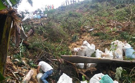 Grave Acidente Na Br 277 Deixa Um Morto E Três Feridos Tribuna Do Paraná