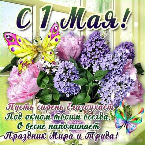 Открытка картинка 1 мая первомай майские праздники цветы весна бабочка Открытки Открытка