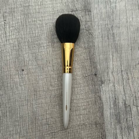 Chikuhodo Makeup Chikuhodo Gsn Series Gsn3 Cheek Poshmark