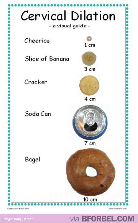 Love This Representation Of Cervical Dilation A Great Way To Show What Size The Cervix Will Be