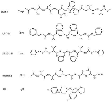 Protease Enzyme Structure